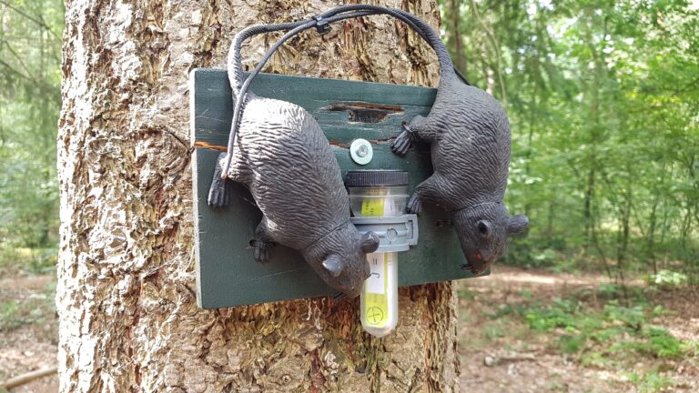 10 Nederlandse geocaches die echt wel de moeite waard zijn